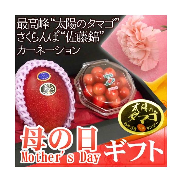 【発売日：2026年05月02日】【送料無料！】大玉2Lサイズ以上【太陽のタマゴ】とブランドさくらんぼ【佐藤錦】【カーネーション生花】の当店オリジナルセットです♪母の日に最適な高級感ある化粧箱入り！マンゴー/まんごー/完熟マンゴー/宮崎完熟...