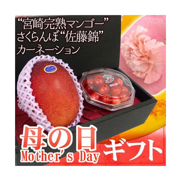 【発売日：2026年05月02日】【送料無料！】大玉2Lサイズ以上【宮崎マンゴー】とブランドさくらんぼ【佐藤錦】【カーネーション生花】の当店オリジナルセットです♪母の日に最適な高級感ある化粧箱入り！マンゴー/まんごー/完熟マンゴー/宮崎完熟...