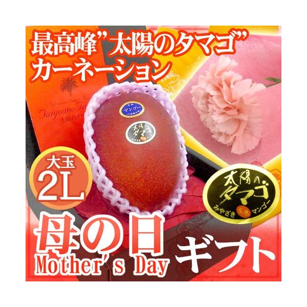 【発売日：2026年05月02日】【送料無料！】大玉2Lサイズ以上【太陽のタマゴ】と【カーネーション生花】の当店オリジナルセットです♪母の日に最適な高級感ある化粧箱入り！マンゴー/まんごー/完熟マンゴー/宮崎完熟マンゴー/宮崎産マンゴー/太...