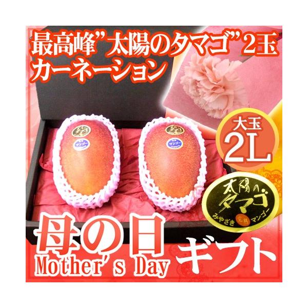 【発売日：2026年05月02日】大玉2Lサイズ以上【太陽のタマゴ】を2個と【カーネーション生花】の当店オリジナルセットです♪母の日に最適な高級感ある化粧箱入り！マンゴー/まんごー/完熟マンゴー/宮崎完熟マンゴー/宮崎産マンゴー/太陽のタマ...