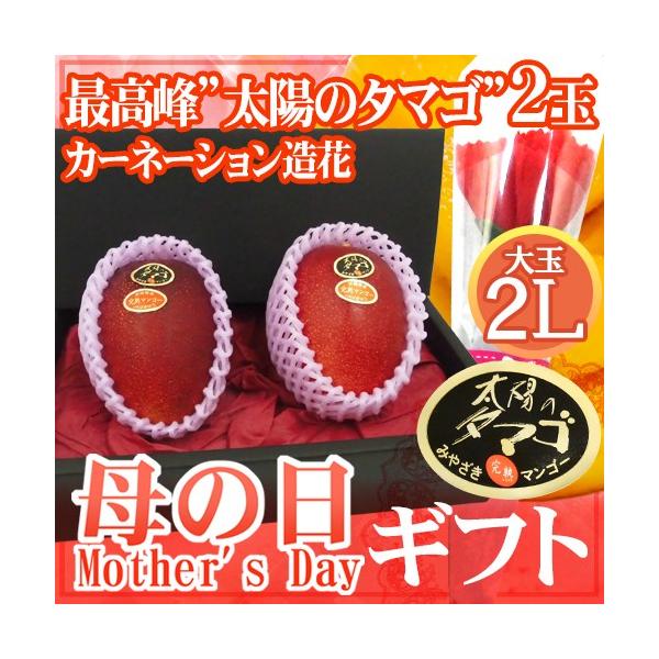 【発売日：2026年05月02日】大玉2Lサイズ以上【太陽のタマゴ】と【カーネーション造花】の当店オリジナルセットです♪母の日に最適な高級感ある化粧箱入り！マンゴー/まんごー/完熟マンゴー/宮崎完熟マンゴー/宮崎産マンゴー/太陽のタマゴ/太...