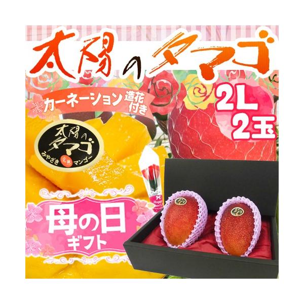 【発売日：2026年05月02日】【送料無料】大玉2Lサイズ以上【太陽のタマゴ】と【カーネーション造花】の当店オリジナルセットです♪母の日に最適な高級感ある化粧箱入り！マンゴー/まんごー/完熟マンゴー/宮崎完熟マンゴー/宮崎産マンゴー/太陽...