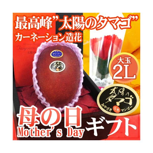 【発売日：2026年05月02日】【送料無料！】大玉2Lサイズ以上【太陽のタマゴ】と【カーネーション造花】の当店オリジナルセットです♪母の日に最適な高級感ある化粧箱入り！マンゴー/まんごー/完熟マンゴー/宮崎完熟マンゴー/宮崎産マンゴー/太...