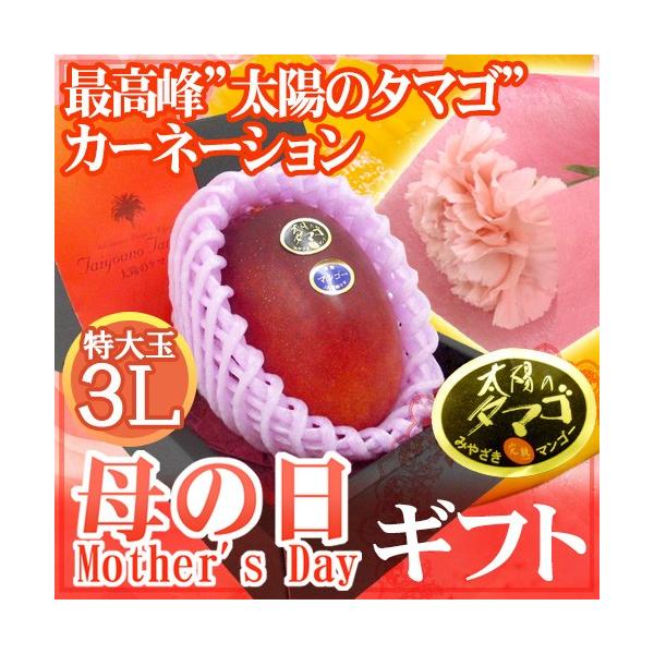 【発売日：2026年05月02日】【送料無料！】特大玉3Lサイズ以上【太陽のタマゴ】と【カーネーション生花】の当店オリジナルセットです♪母の日に最適な高級感ある化粧箱入り！マンゴー/まんごー/完熟マンゴー/宮崎完熟マンゴー/宮崎産マンゴー/...