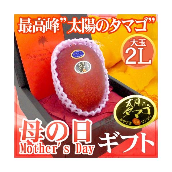 【発売日：2026年05月02日】大玉2Lサイズ以上【太陽のタマゴ】の遅れてごめんね！母の日ギフト♪メッセージカード付きの限定ラッピングでお届け致します！母の日に最適な高級感ある化粧箱入り！マンゴー/まんごー/完熟マンゴー/宮崎完熟マンゴー...