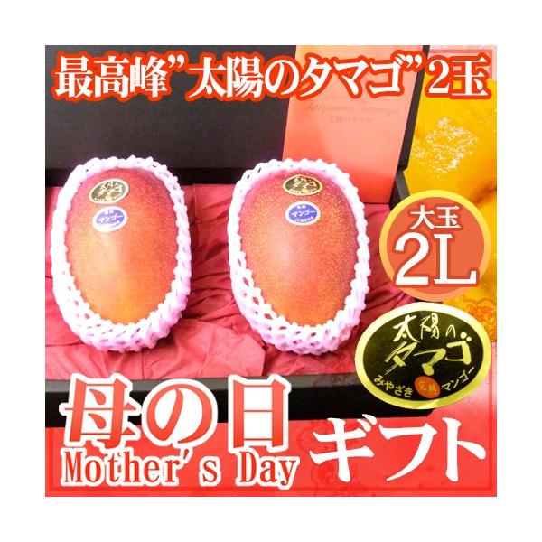 【発売日：2026年05月02日】大玉2Lサイズ以上【太陽のタマゴ】が2個入った遅れてごめんね！母の日ギフト♪メッセージカード付きの限定ラッピングでお届け致します！母の日に最適な高級感ある化粧箱入り！マンゴー/まんごー/完熟マンゴー/宮崎完...