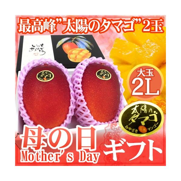 【発売日：2026年05月02日】【送料無料】大玉2Lサイズ以上【太陽のタマゴ】が2個入った遅れてごめんね！母の日ギフト♪メッセージカード付きの限定ラッピングでお届け致します！母の日に最適な高級感ある化粧箱入り！マンゴー/まんごー/完熟マン...
