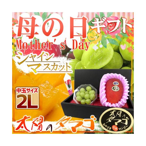 【発売日：2026年05月02日】【送料無料！】大玉2Lサイズ以上【太陽のタマゴ】と【シャインマスカット】【カーネーション造花】の当店オリジナルセットです♪母の日に最適な高級感ある化粧箱入り！マンゴー/まんごー/完熟マンゴー/宮崎完熟マンゴ...