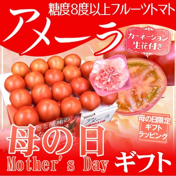 【発売日：2026年05月02日】【送料無料！】有名ブランドトマト【アメーラ】と【カーネーション生花】の当店オリジナルセットです♪母の日限定ギフトラッピング♪高糖度トマト/塩トマト/とまと/トマト/プレゼント/ギフト/フルーツギフト/母/は...