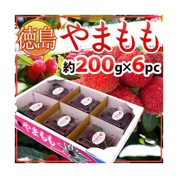【発売日：2026年06月20日】【送料無料】甘酸っぱくてなんだか懐かしい味と独特の歯触りのするやまもも。一口食べれば故郷を思い出す味♪ヤマモモ/山桃/フルーツ/果物/爆買