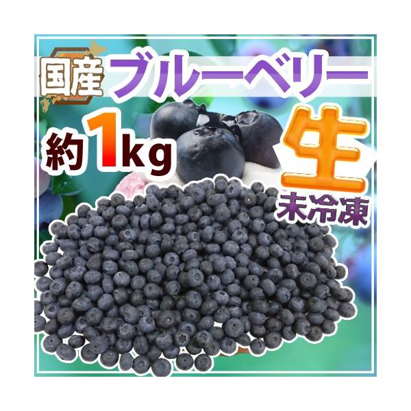 【発売日：2026年06月15日】/フルーツ/果物/1キロ/爆買