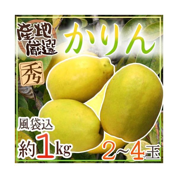 【発売日：2026年10月15日】ハチミツ漬けやカリン酒にして昔ながらの喉の痛みの対策に！つるりと美しい姿、芳醇な香りは食用・薬用だけでなく芳香剤や入浴剤にしても♪色々使える花梨です！/フルーツ/果物/1キロ/爆買