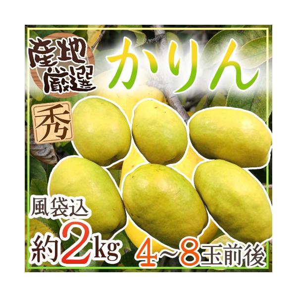 【発売日：2026年10月15日】【送料無料】ハチミツ漬けやカリン酒にして昔ながらの喉の痛みの対策に！つるりと美しい姿、芳醇な香りは食用・薬用だけでなく芳香剤や入浴剤にしても♪色々使える花梨です！/フルーツ/果物/2キロ/爆買