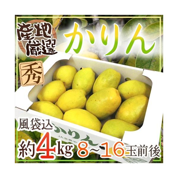 【発売日：2026年10月15日】【送料無料】ハチミツ漬けやカリン酒にして昔ながらの喉の痛みの対策に！つるりと美しい姿、芳醇な香りは食用・薬用だけでなく芳香剤や入浴剤にしても♪色々使える花梨です！/フルーツ/果物/4キロ/爆買