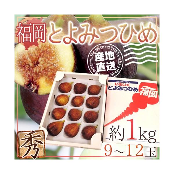 【発売日：2026年08月25日】産地直送で超新鮮！いちじく界の革命児！滑らかな食感、上品でしっかりとした甘さ、独特の豊かな風味！皮も柔らかいから丸ごと食べられちゃう♪注目の新品種です！ イチジク/いちぢく/イチヂク/無花果/豊蜜姫/とよみ...