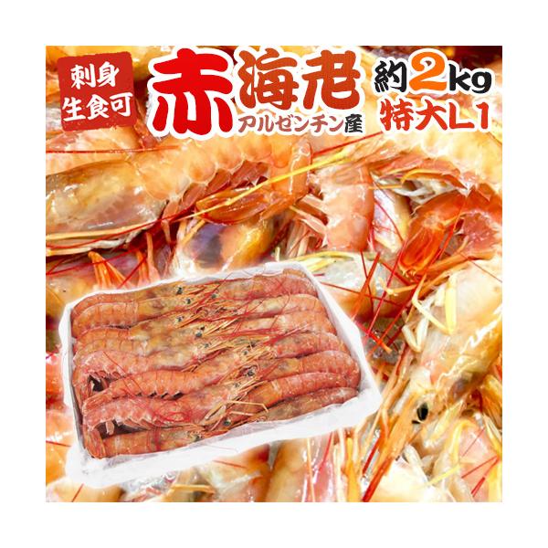 生でも焼いても煮ても美味しいオールラウンダー海老！甘海老のようなネットリとした食感と甘さ、ボタンエビのようなボリュームが魅力♪鮮度抜群です！アルゼンチンアカエビ/赤海老/甘エビ/えび/エビ/海老/カラ付き/殻付き/ブロック/業務用/冷凍/2...