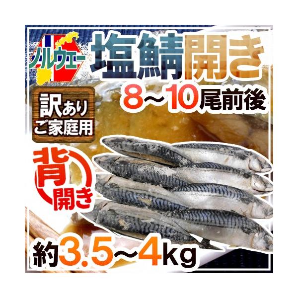 【送料無料】脂のノリに自信アリ！フワっとジューシーでいろんな料理にバツグン！トロ鯖ともいわれる脂ノリの良いノルウェー産塩鮭！背開きで使いやすい♪塩サバ/塩さば/塩鯖/焼き鯖/業務用/冷凍/開き/背開き/片袖開き/ノルウェー産/北欧産/タイセ...