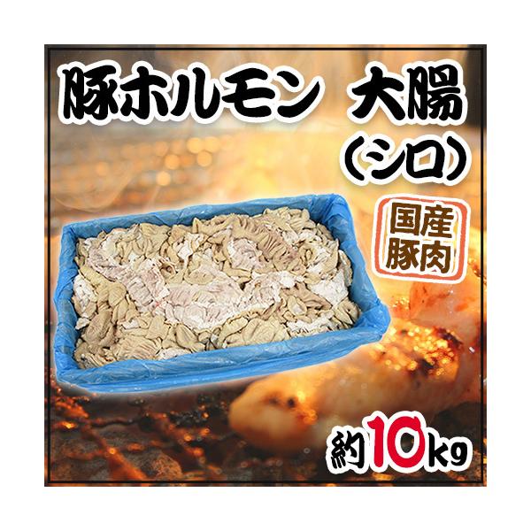 豚の大腸（シロ）は味が良くコクがあり、コシのある歯応えが特徴。ホルモンの中でも特に脂ののっている人気の部位です！未カット /ホルモン/焼肉/もつ/モツ/やきにく/ヤキニク/豚/ブタ/ぶた/爆買