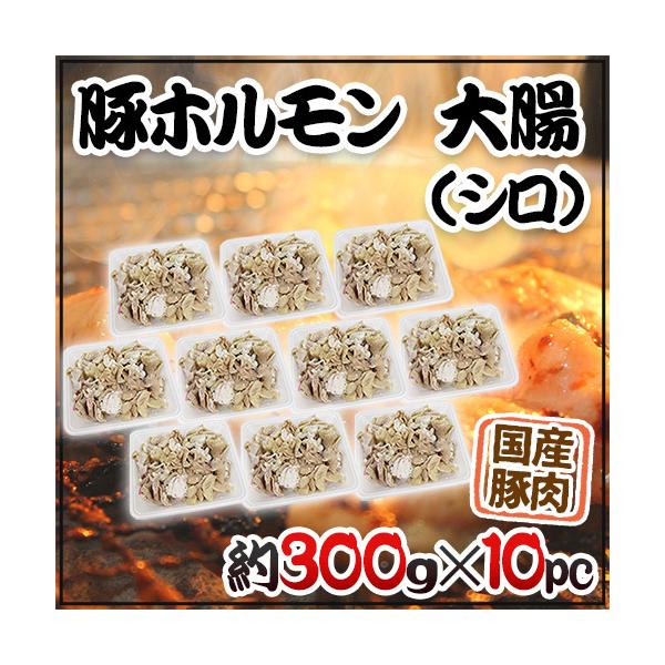 豚の大腸（シロ）は味が良くコクがあり、コシのある歯応えが特徴。ホルモンの中でも特に脂ののっている人気の部位です！/ホルモン/焼肉/もつ/モツ/やきにく/ヤキニク/豚/ブタ/ぶた/爆買