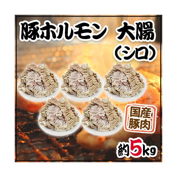 豚の大腸（シロ）は味が良くコクがあり、コシのある歯応えが特徴。ホルモンの中でも特に脂ののっている人気の部位です！未カット /ホルモン/焼肉/もつ/モツ/やきにく/ヤキニク/豚/ブタ/ぶた/爆買