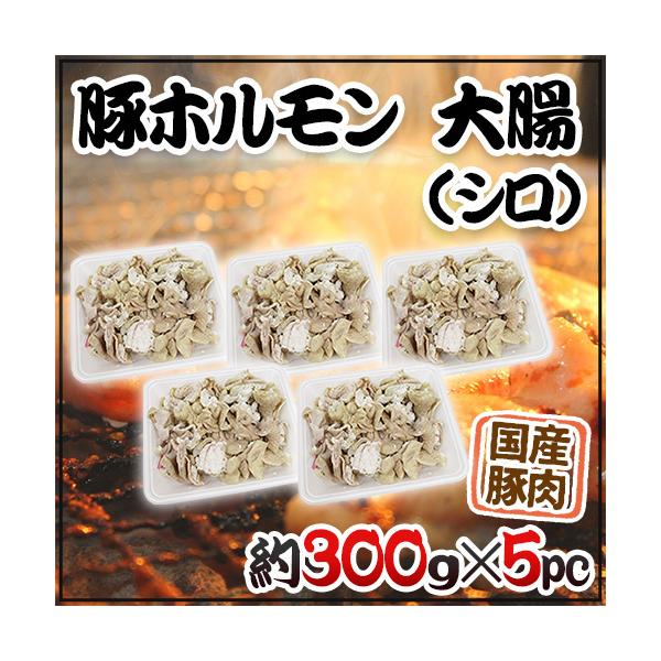 豚の大腸（シロ）は味が良くコクがあり、コシのある歯応えが特徴。ホルモンの中でも特に脂ののっている人気の部位です！/ホルモン/焼肉/もつ/モツ/やきにく/ヤキニク/豚/ブタ/ぶた/爆買