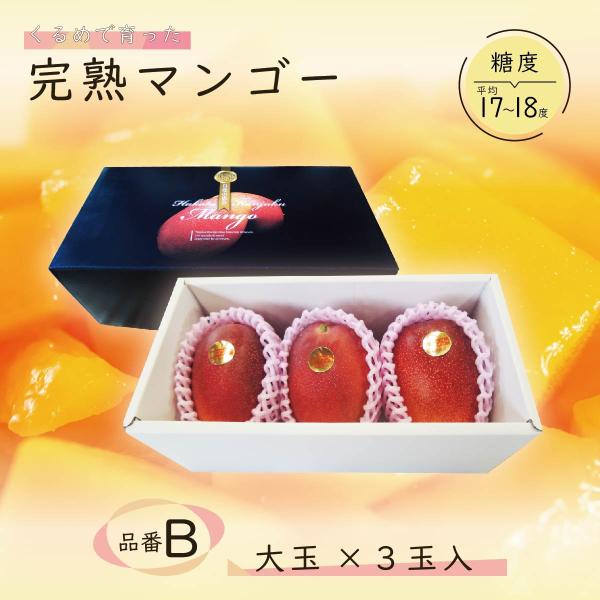 【発売日：2026年06月21日】倉重農園では、もぎたてのマンゴーをお客様に届けたいという思いから、注文後、すぐには発送できないこともあります。１日~3日後までの発送を心がけておりますが、遅くなることもあります。７日以内には発送させていただ...