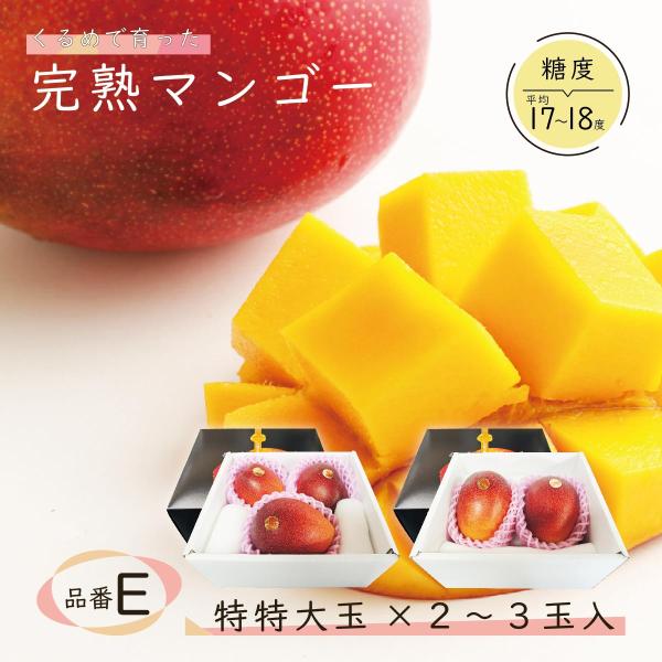 【発売日：2026年06月21日】倉重農園では、もぎたてのマンゴーをお客様に届けたいという思いから、注文後、すぐには発送できないこともあります。１日~3日後までの発送を心がけておりますが、遅くなることもあります。７日以内には発送させていただ...