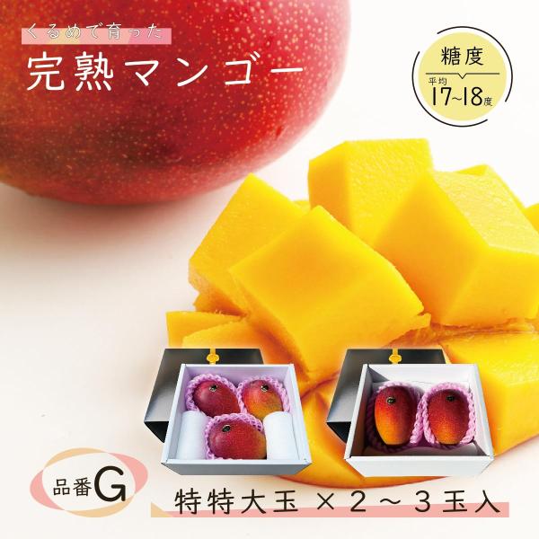 【発売日：2026年06月21日】倉重農園では、もぎたてのマンゴーをお客様に届けたいという思いから、注文後、すぐには発送できないこともあります。大きい玉は収穫も少ないので、6日以内の発送になります。※玉数（「2玉」「3玉」など）のご指定は承...