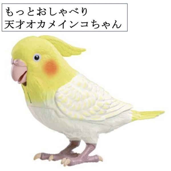 ・おしゃべりやお歌で楽しく過ごせたり、脳トレやゲームでさらに毎日を充実してくれます。・本物の動物を飼えない方にも、癒しとして喜ばれます！・おしゃべり2300通り以上、懐かしの童謡唱歌10曲収録！ミミクリーおしゃべり40種、ゆかいなひとりごと...