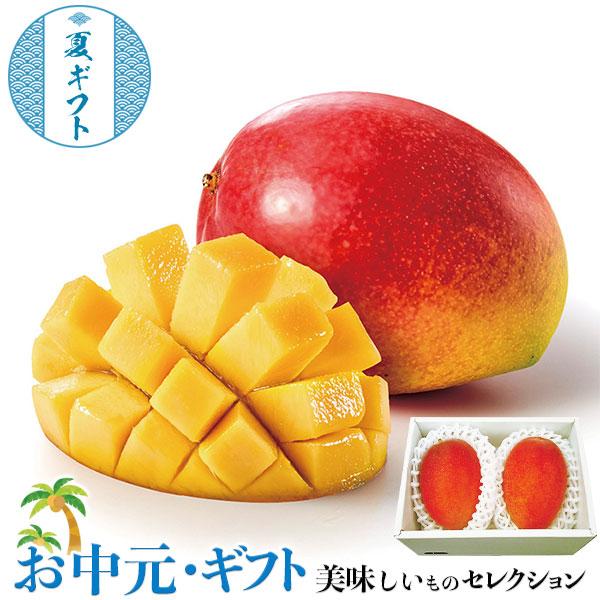 ■商品名： お中元 夏 ギフト プレゼント 沖縄県産 マンゴー ｜マンゴー2玉(計約600g)｜ お取り寄せ グルメ 食品 贈物 御中元  ■お届けの目安： お中元【＜出荷期間＞7月上旬〜8月初旬】 ※指定日不可・時間指定不可 ※指定日・時...
