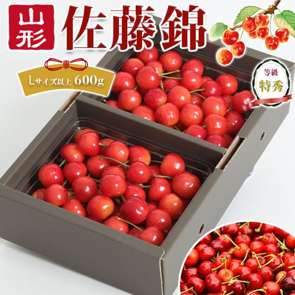 ■商品名： 最高級 さくらんぼ 佐藤錦 特秀(最高ランク) Lサイズ以上 600g (300g×2パック) 贈答用 化粧箱 S-1｜最高級チェリー プレゼント 早めのお中元 夏ギフト 高級果物 高級フルーツ 山形産さとうにしき ■お届けの目...