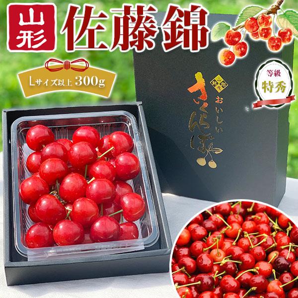 ■商品名： 最高級 さくらんぼ 佐藤錦 特秀(最高ランク) Lサイズ以上 300g(1パック) 贈答用 化粧箱 S-5｜最高級チェリー プレゼント 早めのお中元 夏ギフト 高級果物 高級フルーツ 山形産さとうにしき ■お届けの目安： 予約：...