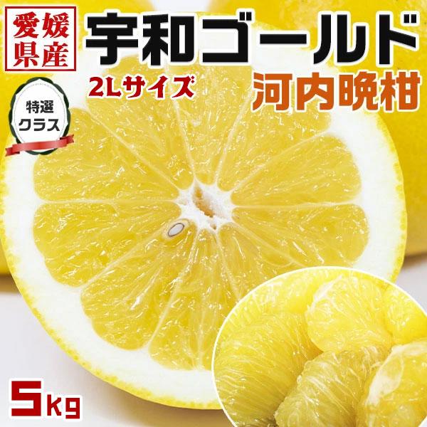 ■商品名： 宇和ゴールド みかん 特選クラス 2Lサイズ 約5kg 愛媛県産 河内晩柑 美生柑・手土産・お供え・ご家庭へのギフト ■お届けの目安： 土日祝を除く2〜5日前後の順次出荷予定【出荷日お任せ・指定日不可】 ※収穫状況によって申込締...