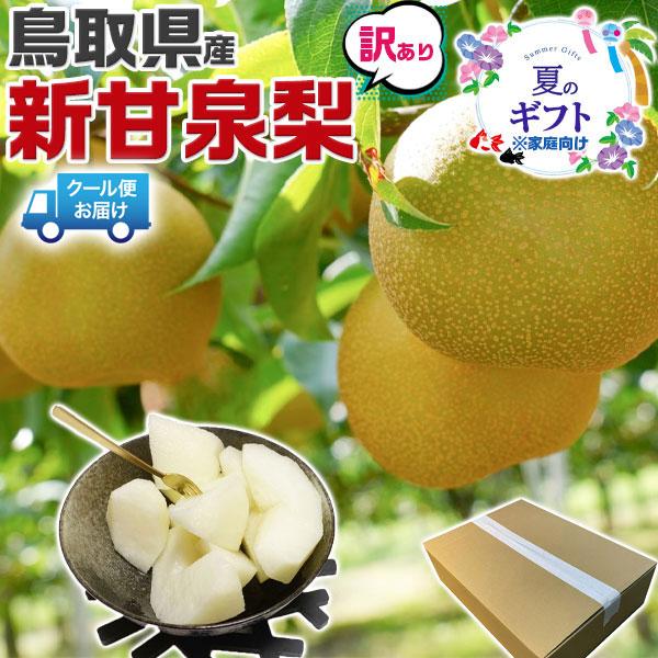 ■商品名： 【クール便指定】鳥取 訳あり 新甘泉 梨 約10kg（12〜40玉）糖度14度前後 ご家庭用【しんかんせん鳥取県産ナシ】お中元 家庭用 ギフト ■お届けの目安： 【予約】2026年9月上旬頃入荷予定（指定日不可）・早まる場合や遅...