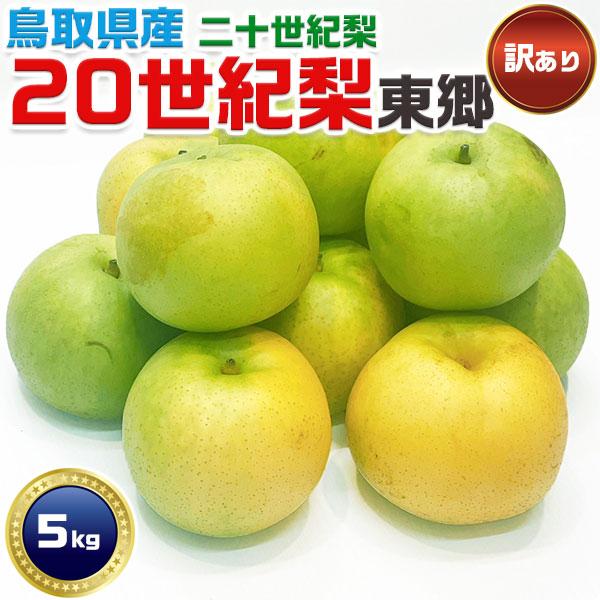 ■商品名： 20世紀 梨 東郷 訳あり 鳥取県産 二十世紀 約5kg 鳥取ブランド ご家庭用 家庭用ギフト2026年9月上〜中旬以降の出荷予定 ■お届けの目安： 2026年9月上〜中旬以降の出荷予定 ※収穫状況によって申込締切・配達予定を変...