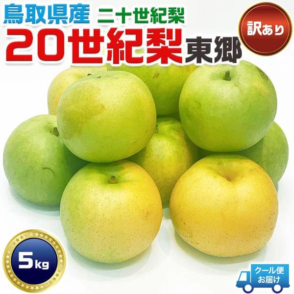 ■商品名： 20世紀 梨 東郷 訳あり 鳥取県産 二十世紀 約5kg【クール便指定】鳥取ブランド ご家庭用 家庭用ギフト2026年9月上〜中旬以降の出荷予定 ■お届けの目安： 2026年9月上〜中旬以降の出荷予定 ※収穫状況によって申込締切...