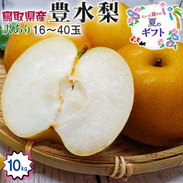■商品名： 鳥取県産 梨 訳あり 豊水 10kg前後 16〜40玉 ご家庭用 無地段ボール箱 遅めの夏ギフト・遅れてごめんねお中元・敬老の日・家庭用・ギフト ■お届けの目安： 2026年8月中旬頃入荷予定 ※指定日お届け不可 ※収穫状況によ...