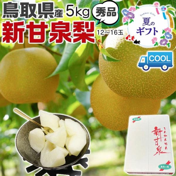 ■商品名： 【クール便指定】鳥取 新甘泉 梨 秀品 5kg 12玉〜16玉入 糖度14度前後 贈答用【しんかんせん鳥取県産ナシ】遅めの お中元 ギフト ■お届けの目安： 【予約】2026年9月上旬頃入荷予定（指定日不可）・早まる場合や遅れる...