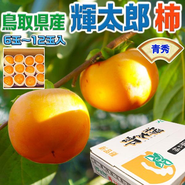 ■商品名： 柿 かき 鳥取県産 輝太郎 柿 青秀 6玉〜12玉入 ご家庭用 きたろう柿 お試し 輝太郎柿 秋の果物 フルーツ 家庭用ギフト  ■お届けの目安： 10月中旬頃入荷予定 (出荷が早まることがございます) ※収穫状況によって申込締...