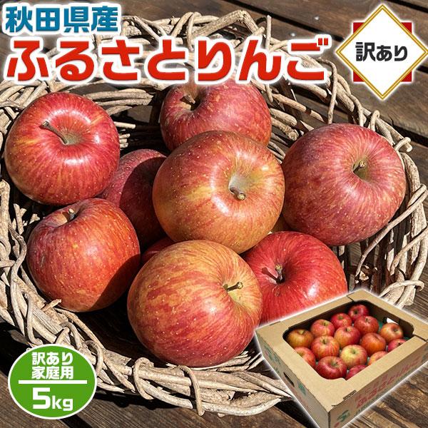 ■商品名： 秋田県産 ふるさと サンふじ りんご 約 5kg 訳あり 5キロ 家庭向け 秋田ふるさと 林檎 お買得 アウトレット ■お届けの目安： 2〜5日の順次出荷予定です。(水・日・祝は出荷不可) ※収穫状況によって申込締切・配達予定を...