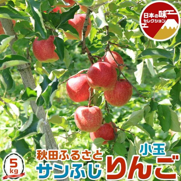 ■商品名： JA秋田ふるさと 訳あり サンふじ りんご 5kg 前後 小玉 家庭向け 秋田県産 林檎 お買得 果物 アウトレット ■お届けの目安： 2〜5日の順次出荷予定です。(水・日・祝は出荷不可) ※収穫状況によって申込締切・配達予定を...