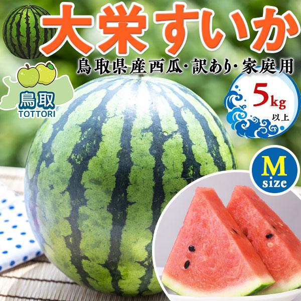 ■商品名： 訳あり 鳥取 大栄 すいか 大栄西瓜 Mサイズ 5kg以上 家庭用 (贈答用と同じ糖度) 段ボール箱入り【鳥取県産西瓜】 お中元 ギフト  ■お届けの目安： 【予約】2026年6月中旬頃入荷予定 (出荷が早まることがございます)...