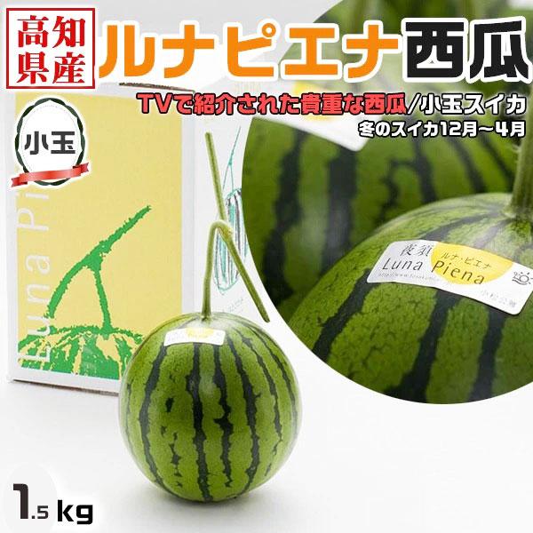 ■商品名： 冬のスイカ 高知県産 ルナピエナ 西瓜 約 1.5kg 以上 小玉 夜空 【高知県産】お歳暮・クリスマス ギフト・お正月・すいかギフト ■お届けの目安： 土日祝を除く3日〜7日前後の順次出荷予定です。(出荷が早まることがございま...