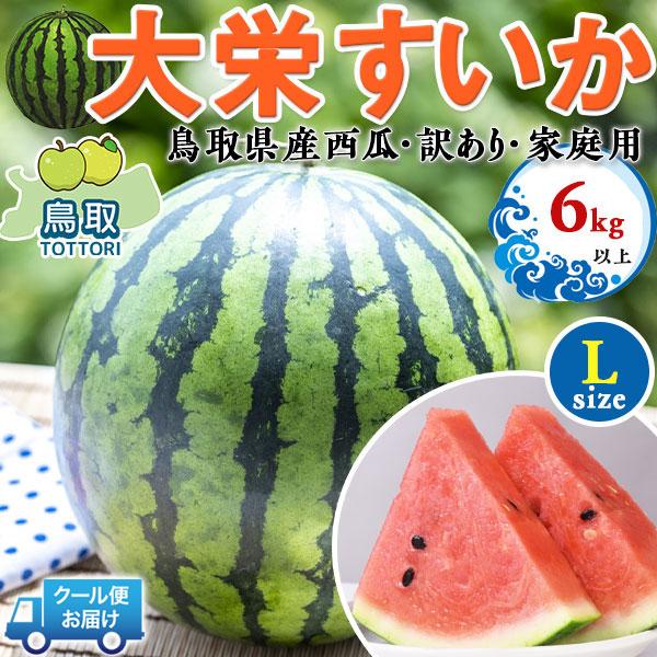 ■商品名： 訳あり 鳥取 大栄 すいか 大栄西瓜 Lサイズ 6kg以上 【クール便指定】 家庭用 (贈答用と同じ糖度) 段ボール箱入り【鳥取県産西瓜】 お中元 ギフト  ■お届けの目安：  【予約】2026年6月中旬頃入荷予定 (出荷が早ま...