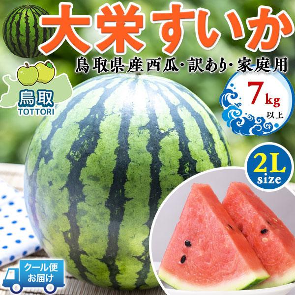 ■商品名： 訳あり 鳥取 大栄 すいか 大栄西瓜 2Lサイズ 7kg以上 家庭用 【クール便指定】 (贈答用と同じ糖度) 段ボール箱入り【鳥取県産西瓜】 お中元 ギフト  ■お届けの目安： 【予約】2026年6月中旬頃入荷予定 (出荷が早ま...