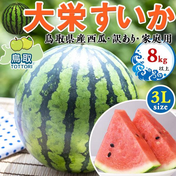 ■商品名： 訳あり 鳥取 大栄 すいか 大栄西瓜 3Lサイズ 8kg以上 家庭用 (贈答用と同じ糖度) 段ボール箱入り【鳥取県産西瓜】 お中元 ギフト  ■お届けの目安： 【予約】2026年6月中旬頃入荷予定 (出荷が早まることがございます...