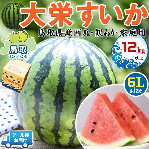 ■商品名： 訳あり 鳥取 大栄 すいか 大栄西瓜 6Lサイズ 12kg以上 家庭用 【クール便指定】 (贈答用と同じ糖度) 段ボール箱入り【鳥取県産西瓜】 お中元 ギフト  ■お届けの目安： 【予約】2026年6月中旬頃入荷予定 (出荷が早...