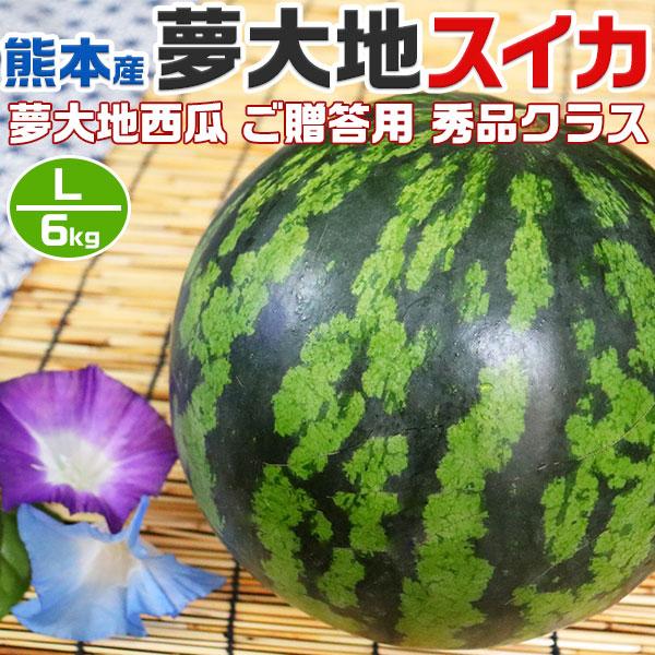 ■商品名： 熊本産 夢大地 すいか 秀品 Lサイズ 6kg 1玉入 【常温便指定】 熊本県産西瓜 贈答用 母の日 父の日 プレゼント フルーツ 果物 お中元 ギフト 西瓜  ■お届けの目安： 土日祝日を除く2〜5日前後の出荷予定 ※収穫によ...
