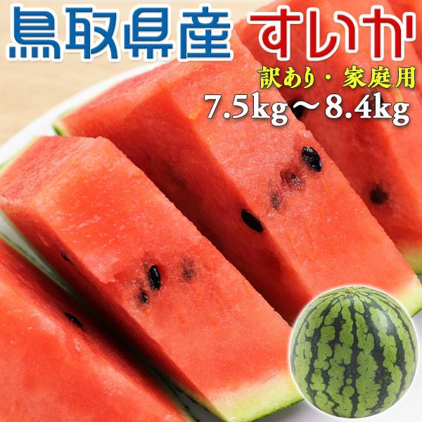 ■商品名： 鳥取県産 スイカ 7.5kg〜8.4kg 大玉 1玉 訳あり・家庭用 段ボール箱入り【鳥取県産西瓜】お中元・家庭用・すいかギフト ■お届けの目安： 【予約】2026年7月中旬頃入荷予定 (出荷が早まることがございます) ※収穫状...
