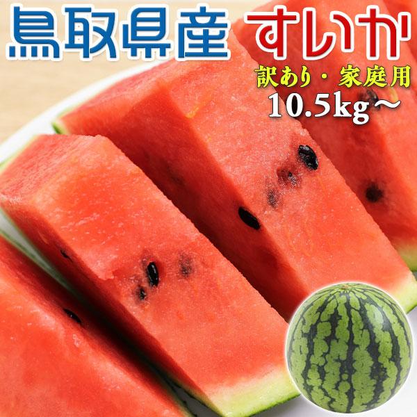 ■商品名： 鳥取県産 スイカ 10.5kg以上 超特大玉 1玉 訳あり・家庭用 段ボール箱入り【鳥取県産西瓜】お中元・家庭用・すいかギフト ■お届けの目安： 【予約】2026年7月中旬頃入荷予定 (出荷が早まることがございます) ※収穫状況...
